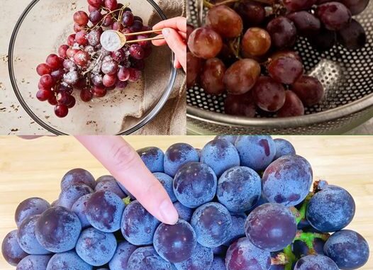 Ultimate Grape Cleaning Guide – facetechcourses