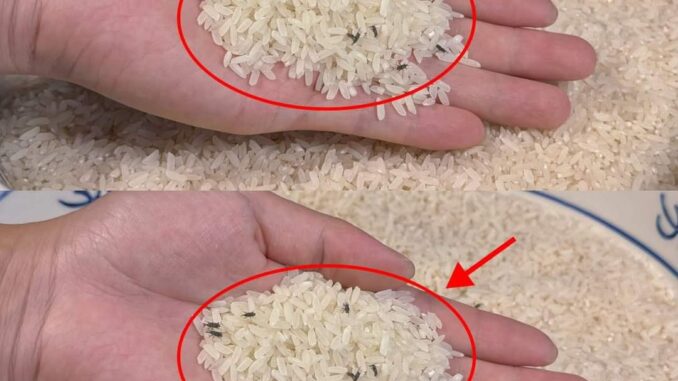 How to Remove White Worms From Rice? 😱 Ditch Those Rice Weevils ...